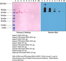 Ethylene Glycol (CAS 107-21-1)
