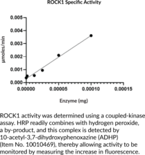 ROCK1 (human, recombinant)