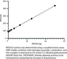 ROCK2 (human, recombinant)