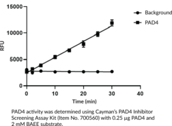 PAD4 (human, recombinant; mammalian expressed)