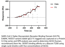 SARS-CoV-2 Spike Glycoprotein Receptor Binding Domain K417N, E484K ...