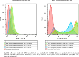MR1 Monoclonal Antibody (Clone 2H7)