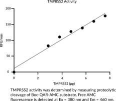 TMPRSS2 (human, recombinant)