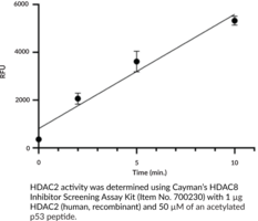 HDAC2 (human, recombinant)