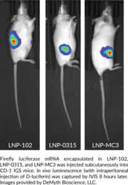 LipidLaunch™ LNP-MC3 Exploration Kit