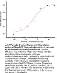 AcMNPV Major Envelope Glycoprotein Neutralizing Antibody (Clone M001)