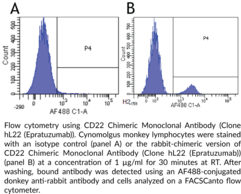 CD22 Chimeric Monoclonal Antibody (Clone hL22 (Epratuzumab))