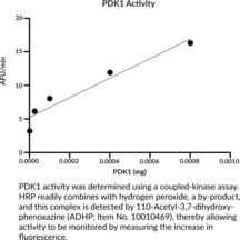 PDK1 (human, recombinant)