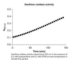 Xanthine Oxidase (bovine)