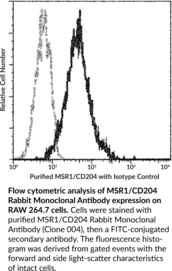 MSR1/CD204 Rabbit Monoclonal Antibody (Clone 004)