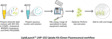 LipidLaunch™ LNP-102 Uptake Kit (Green Fluorescence)