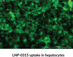LipidLaunch™ LNP-0315 Uptake Kit (Green Fluorescence)