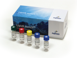 LipidLaunch™ LNP-MC3 Uptake Kit (Near-Infrared Fluorescence)