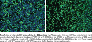 LipidLaunch™ SM-102 LNP (GFP)