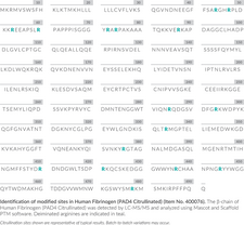 Human Fibrinogen (PAD4 Citrullinated)