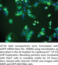 LipidLaunch™ LP-01 LNP Exploration Kit
