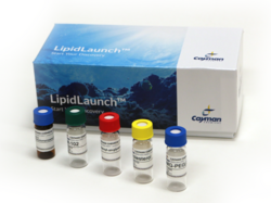 LipidLaunch™ SORT LNP Exploration Kit