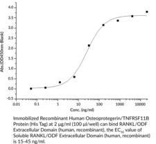 RANKL/ODF Extracellular Domain (human, recombinant)