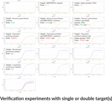 STI2 (Bio-Rad) Multiplexed qPCR Assay