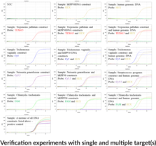 STI5 (most common STI) (Bio-Rad) Multiplexed qPCR Assay
