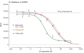 Human Adrenoceptor Beta 1 Reporter Assay System