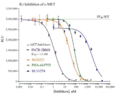 Human c-MET / Hepatocyte Growth Factor Receptor Reporter Assay System