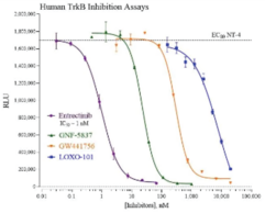 Human Tropomysin Receptor Kinase B Reporter Assay System