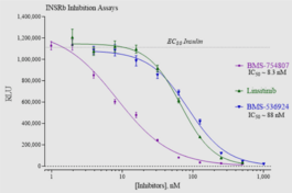 Human Insulin Receptor, isoform B Reporter Assay System