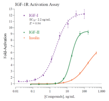 Human Insulin-like Growth Factor-1 Receptor Reporter Assay System