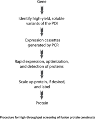 Cell-free Protein Synthesis (E. coli) Kit