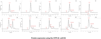 Cell-free Protein Synthesis (E. coli) Kit