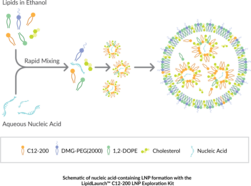 LipidLaunch™ C12-200 LNP Exploration Kit