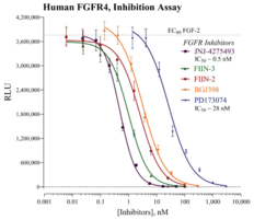 Fibroblast Growth Factor Receptor 4 (FGFR) Reporter Assay System