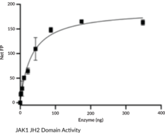 JAK1 JH2 Domain (human, recombinant; aa 561-852)