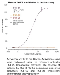 Human Fibroblast Growth Factor 1c/α-Klotho (FGFR1c/α-Klotho) for Endocrine FGF Signaling ...