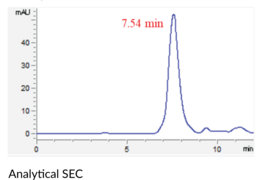 IFN-α2 (human, recombinant)