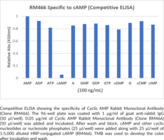 Cyclic AMP Rabbit Monoclonal Antibody (Clone RM466)