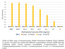 5-Carboxylcytosine Rabbit Monoclonal Antibody (Clone RM462)