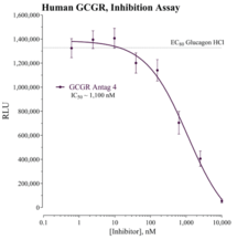 Human Glucagon Receptor Reporter Assay System