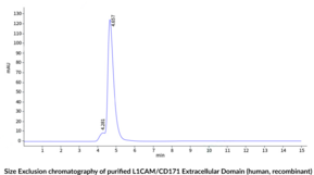 CD171 Extracellular Domain (human, recombinant)