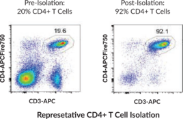 Mouse CD4+ T Cell Isolation Kit