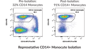 Human CD14+ Monocyte Isolation Kit