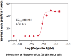 THUNDER™ Phospho-eIF2α (S51) TR-FRET Cell Signaling Assay Kit