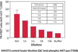 THUNDER™ Phospho-AKT pan (T308) + Total AKT pan TR-FRET Cell Signaling Assay Kit