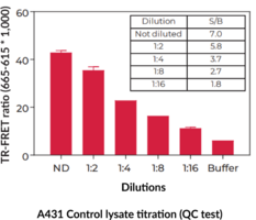 THUNDER™ Phospho-STAT5 (Y694/Y699) TR-FRET Cell Signaling Assay Kit