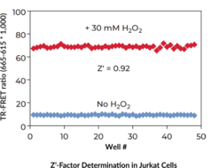 THUNDER™ Phospho-SLP-76 (S376) TR-FRET Cell Signaling Assay Kit