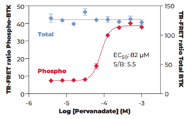 THUNDER™ Phospho BTK (Y223) + Total BTK TR-FRET Cell Signaling Assay Kit