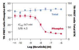 THUNDER™ Phospho BTK (Y223) + Total BTK TR-FRET Cell Signaling Assay Kit