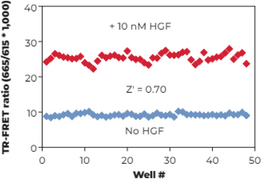THUNDER™ Phospho-c-Met (Y1234/Y1235) TR-FRET Cell Signaling Assay Kit