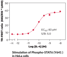 THUNDER™ Phospho-STAT6 (Y641) TR-FRET Cell Signaling Assay Kit
